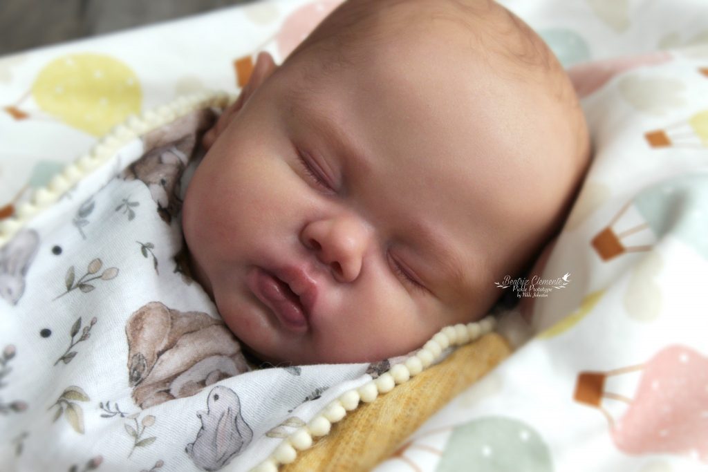 Pickle (Nikki Johnston) - Bebes Reborn