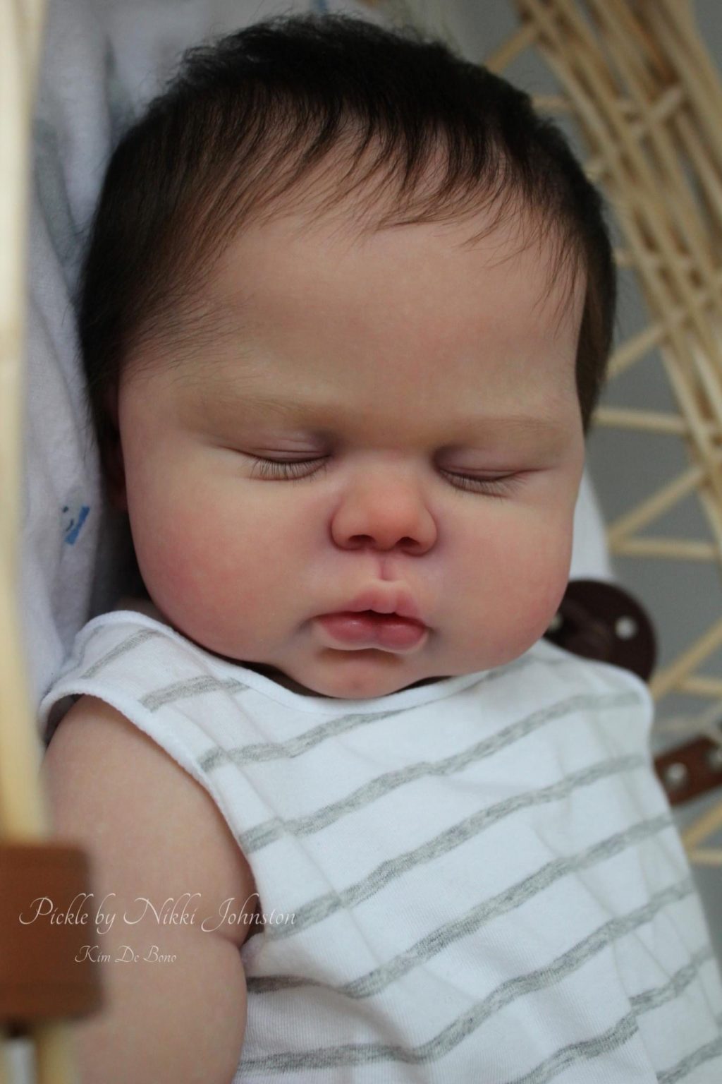 Pickle (Nikki Johnston) - Bebes Reborn