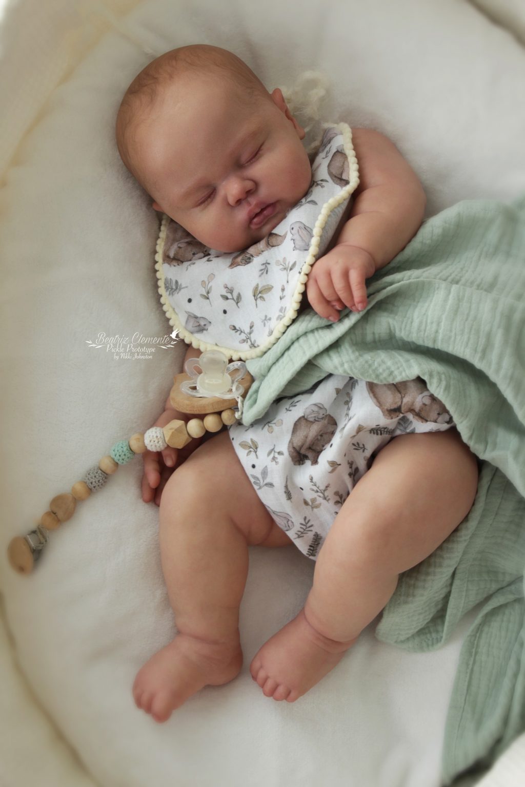 Pickle (Nikki Johnston) - Bebes Reborn